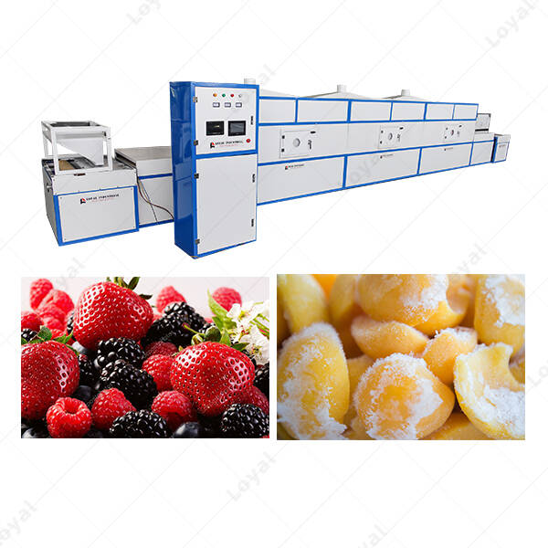 PLC Control Industrial Microwave Frozen Fruit Thawing Machine