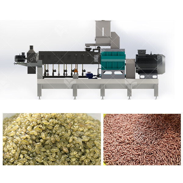 What Is Nutritional Rice Line Technology? - Shandong Loyal Industrial ...
