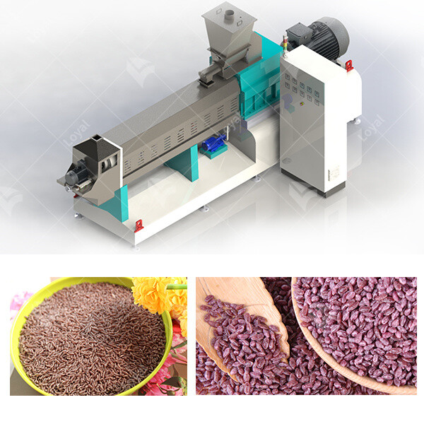 How Do You Make Nutrition Rice/Artificial Rice And Golden Rice ...