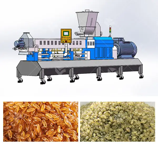 How To Set Fortified Rice Factory？ - Shandong Loyal Industrial Co.,Ltd.