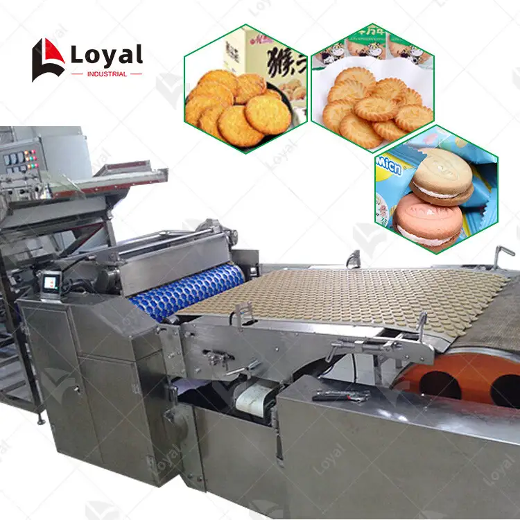 The Ultimate Guide on Biscuit Machine Price in 2024 - Shandong Loyal ...