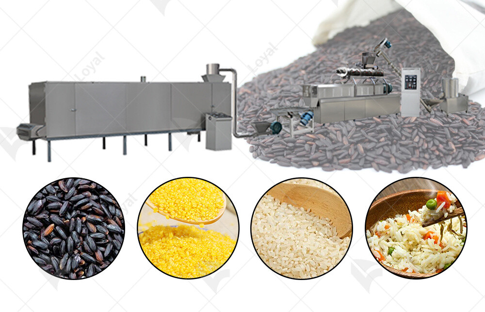 Shandong Loyal Industrial Co., Ltd. Completes Two High-Efficiency 500kg ...