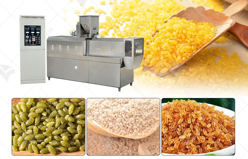Understanding TheNutritional riceproduction line：The Ultimate Guide ...